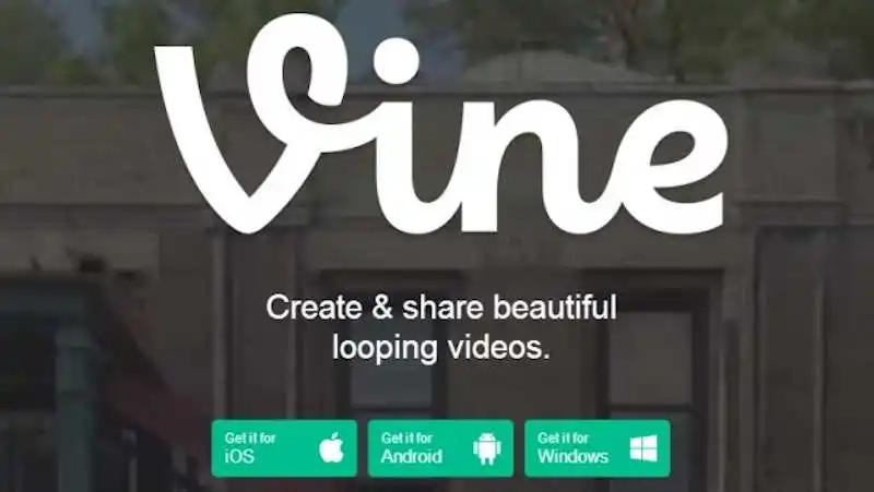 What the Internet Loses When Vine Shuts Down Waploaded